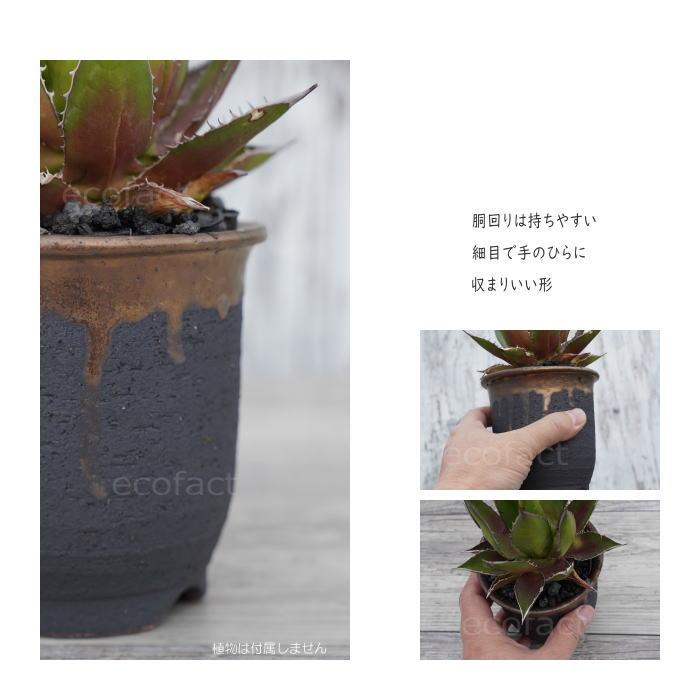陶器鉢 植木鉢 底穴あり 3.5号 金彩 高鉢 H11cm 園芸鉢 信楽焼 かみ山陶器 おしゃれ プランター 観葉植物 アガベ 塊根植物 コーデックス : エリア27 - 通販 - Yahoo ...