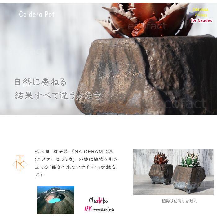 陶器鉢 植木鉢 小鉢 底穴あり 益子焼 Caldera Pot φ11cm おしゃれ 園芸鉢 プランター アガベ コーデックス 塊根植物 NK ...