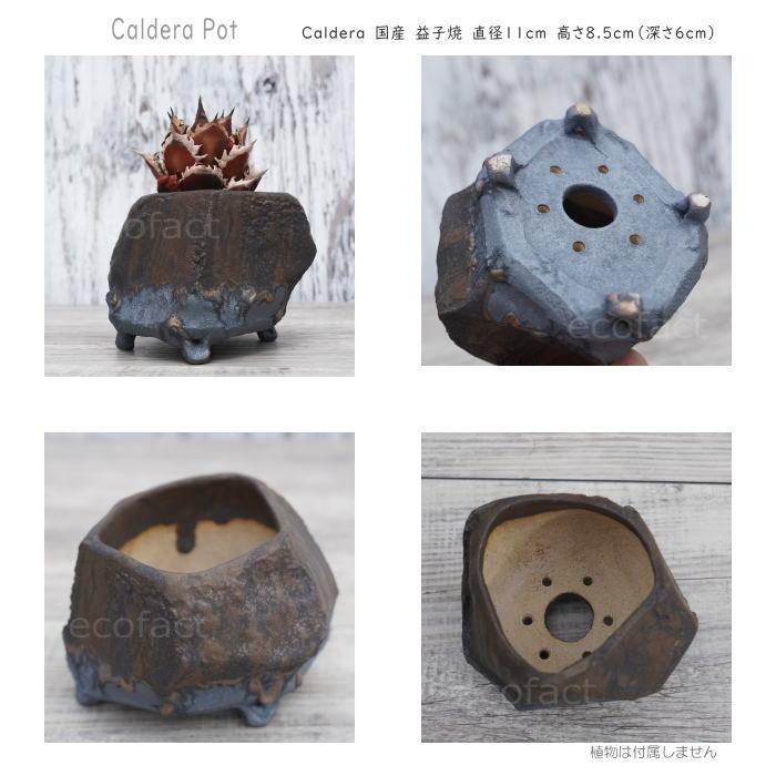 陶器鉢 植木鉢 小鉢 底穴あり 益子焼 Caldera Pot φ11cm おしゃれ 園芸鉢 プランター アガベ コーデックス 塊根植物 NK ...