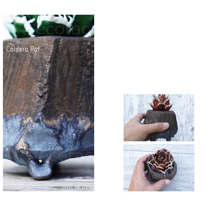 陶器鉢 植木鉢 小鉢 底穴あり 益子焼 Caldera Pot φ11cm おしゃれ 園芸鉢 プランター アガベ コーデックス 塊根植物 NK ...