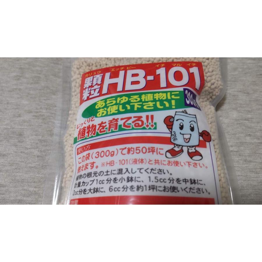 HB-101 顆粒 300g ×2袋セット 正規品 フローラ 植物 超元気 送料無料 : きのくに種苗店 - 通販 - Yahoo!ショッピング
