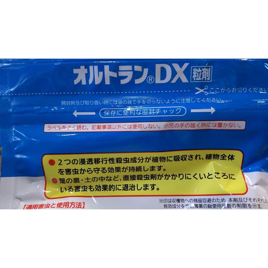 1kg ×4袋セット オルトランDX粒剤 送料無料 オルトラン dx 住友 有効期限1年以上 : きのくに種苗店 - 通販 - Yahoo!ショッピング