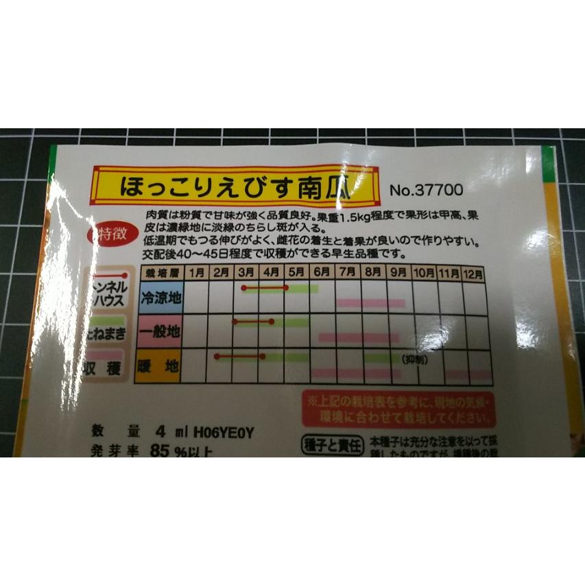 3袋以上でクーポン割引 ほっこり えびす 南瓜 カボチャ 種 郵便は送料無料 : きのくに種苗店 - 通販 - Yahoo!ショッピング
