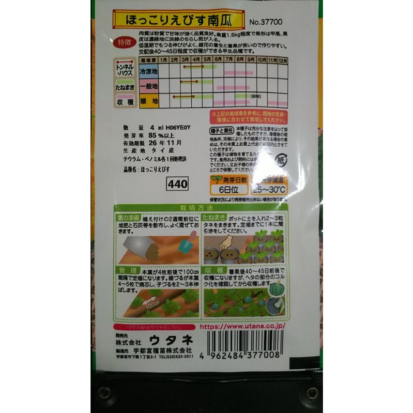 3袋以上でクーポン割引 ほっこり えびす 南瓜 カボチャ 種 郵便は送料無料 : きのくに種苗店 - 通販 - Yahoo!ショッピング