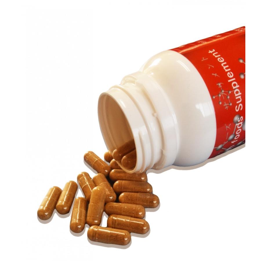 ミミズ乾燥粉末 SK3末（LR末ルンブルクスルベルス）SKL-100 : skl-100 : ありがとう本舗 美容と健康店 - 通販 - Yahoo!ショッピング