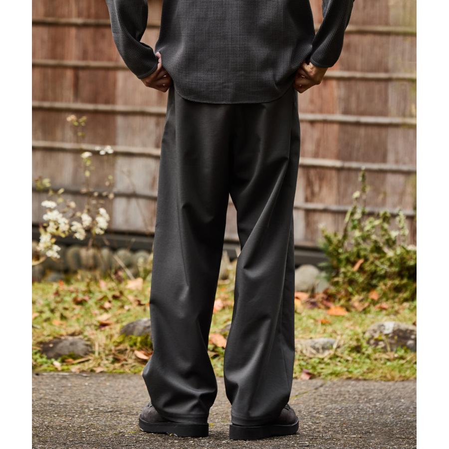 GOLDWIN / ゴールドウィン ： 【ONLY ARK】別注 Dry Stretch Twill Tuck Pants / 全2色 ： ONLYARK-0-3025 : onlyark-0 ...