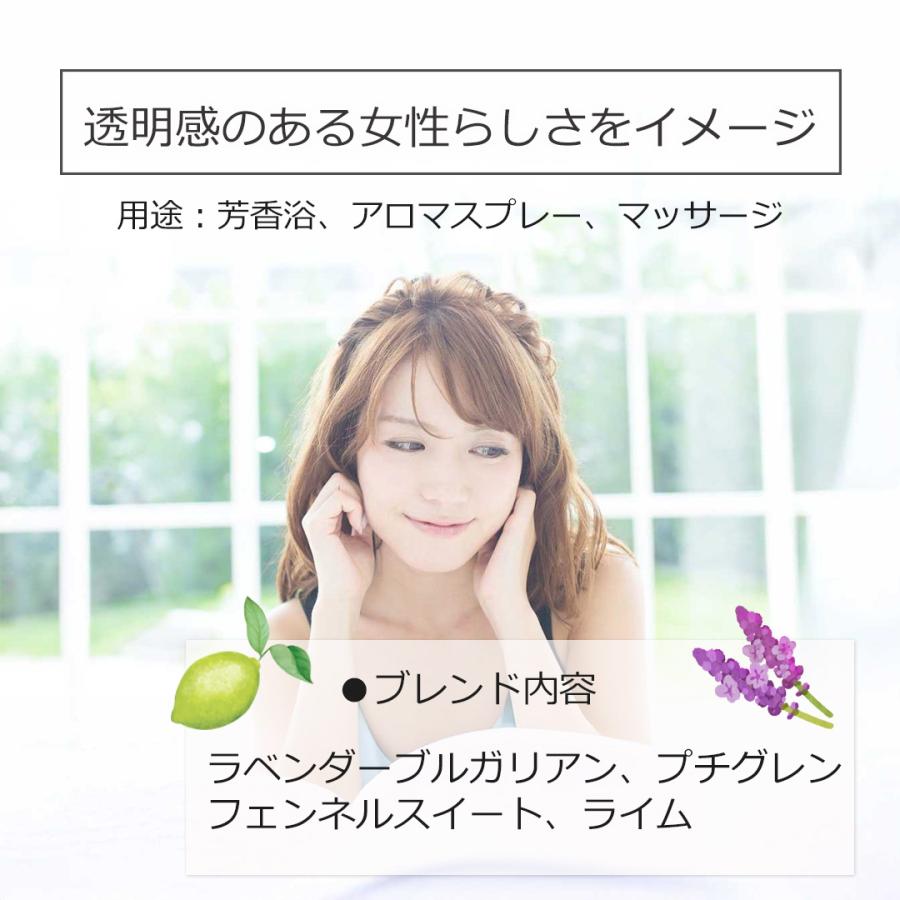 ASH AROMA フェミニン ブレンド 100ml アロマオイル エッセンシャルオイル 精油 業務用（ラベンダーブルガリアン プチグレン フェンネルスイート ライム） : アッシュ-ASH ...