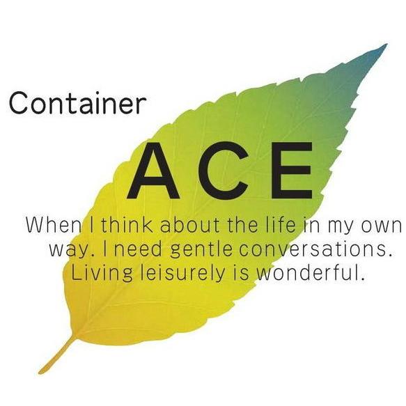 コンテナーカラーエース L【お得な8個セット】〜サンコープラスチック〜 : AROTHOヤフー店 - 通販 - Yahoo!ショッピング