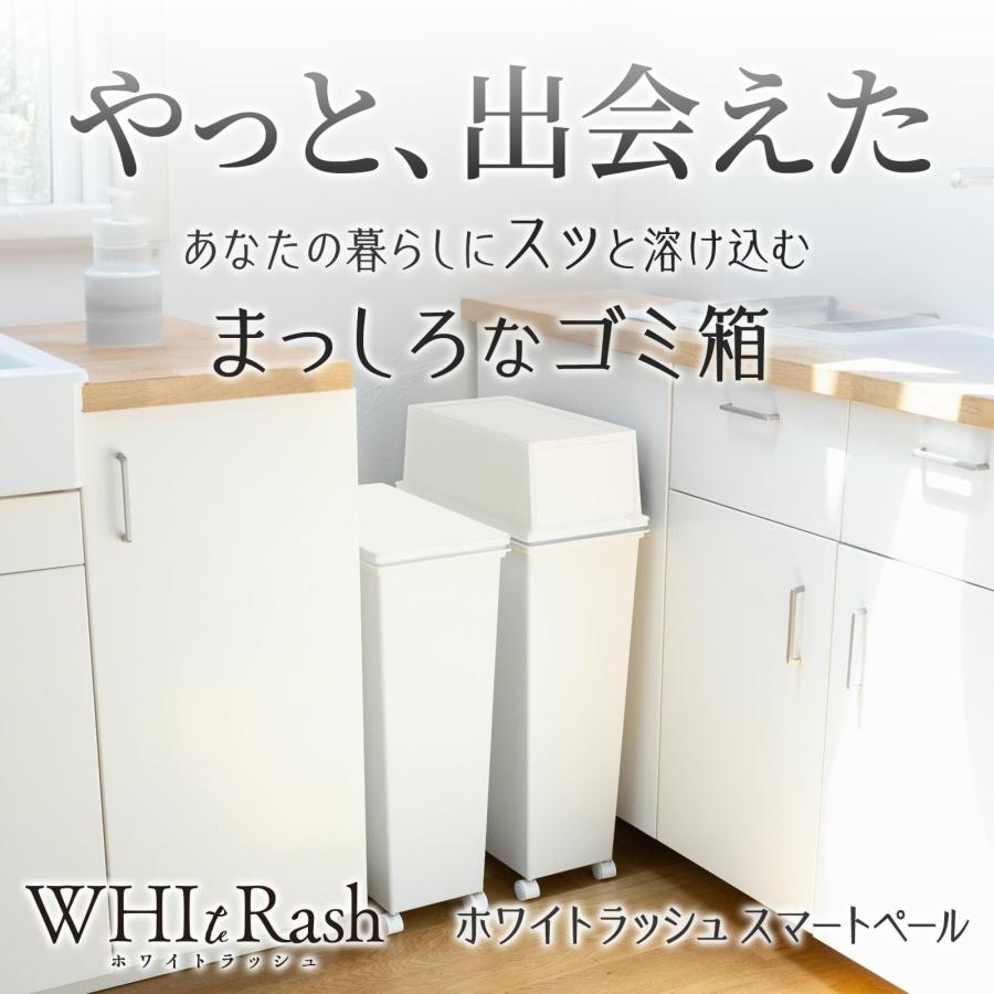天馬 ホワイトラッシュ スマートペール 45L【本体】 : t-wrsp45 : AROTHOヤフー店 - 通販 - Yahoo!ショッピング