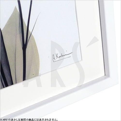 アートパネル アートポスター 絵画 インテリア 壁掛け タペストリー アートフレーム レントゲンアート アルバート クーツィール モダン 北欧 ...