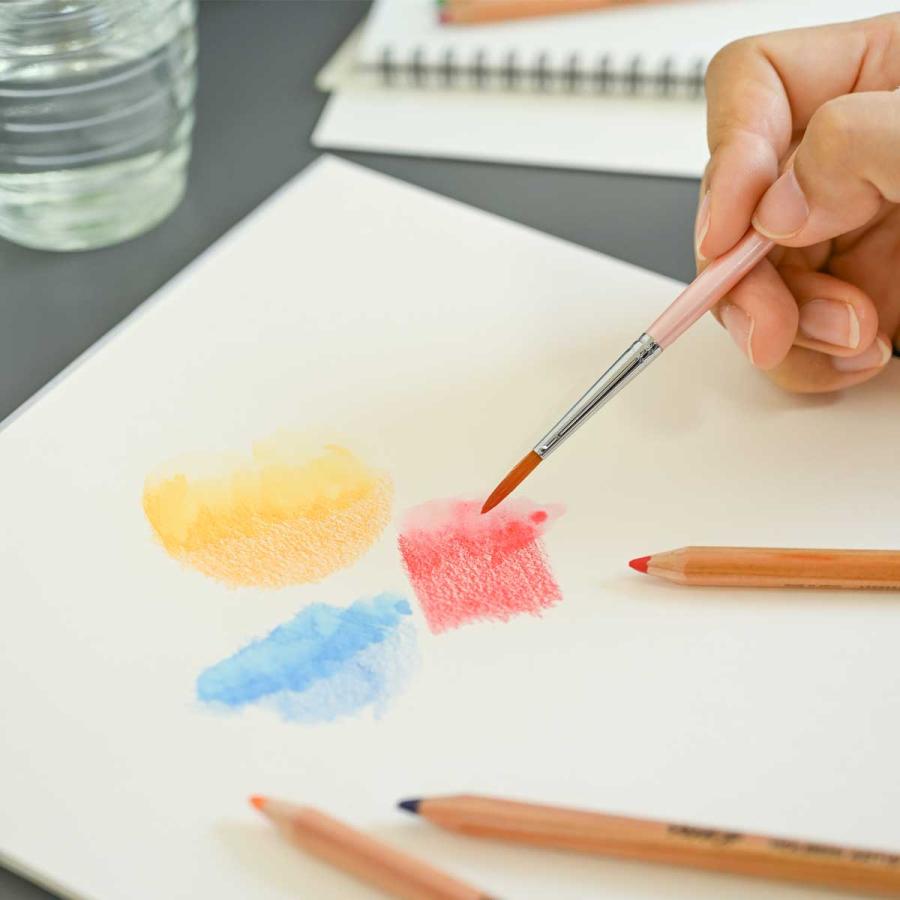 ホルベイン 水彩色鉛筆 50色セット (21195) 水彩画 なめらかな書き心地 : Art&Craft Lab - 通販 - Yahoo!ショッピング