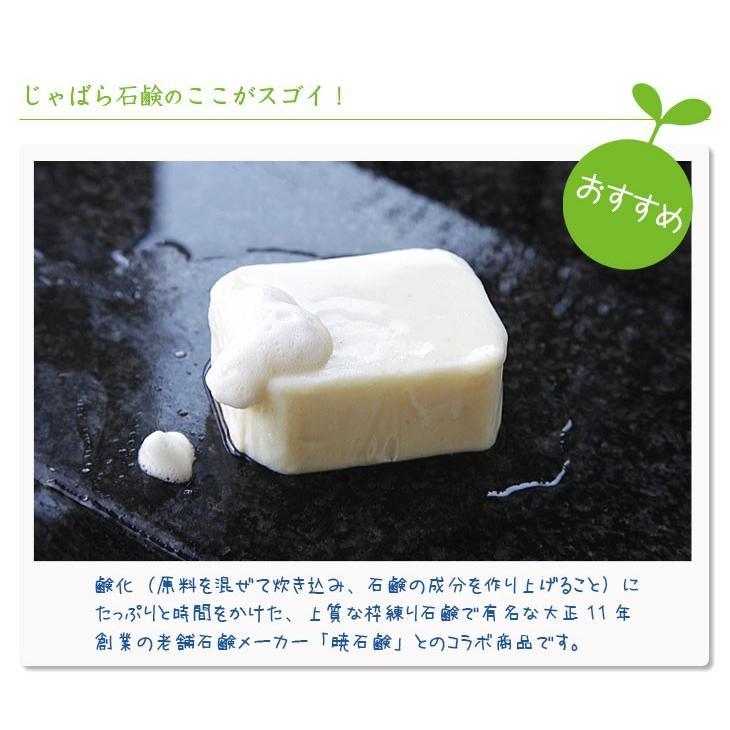 じゃばら石鹸 標準重量110g (20個x1ケース)花粉 じゃばらの産地 北山村ナリルチン 果皮粉末 果皮入り : j-soap-20set : アート・ドライフルーツギフト - 通販 ...