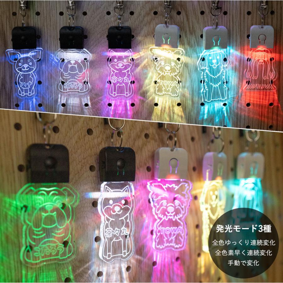キーホルダー 光る LED ペット 犬 おしゃれ ライト お散歩 ネームプレート 名札 名入れ 刻印 ギフト プレゼント かばん リュック ...