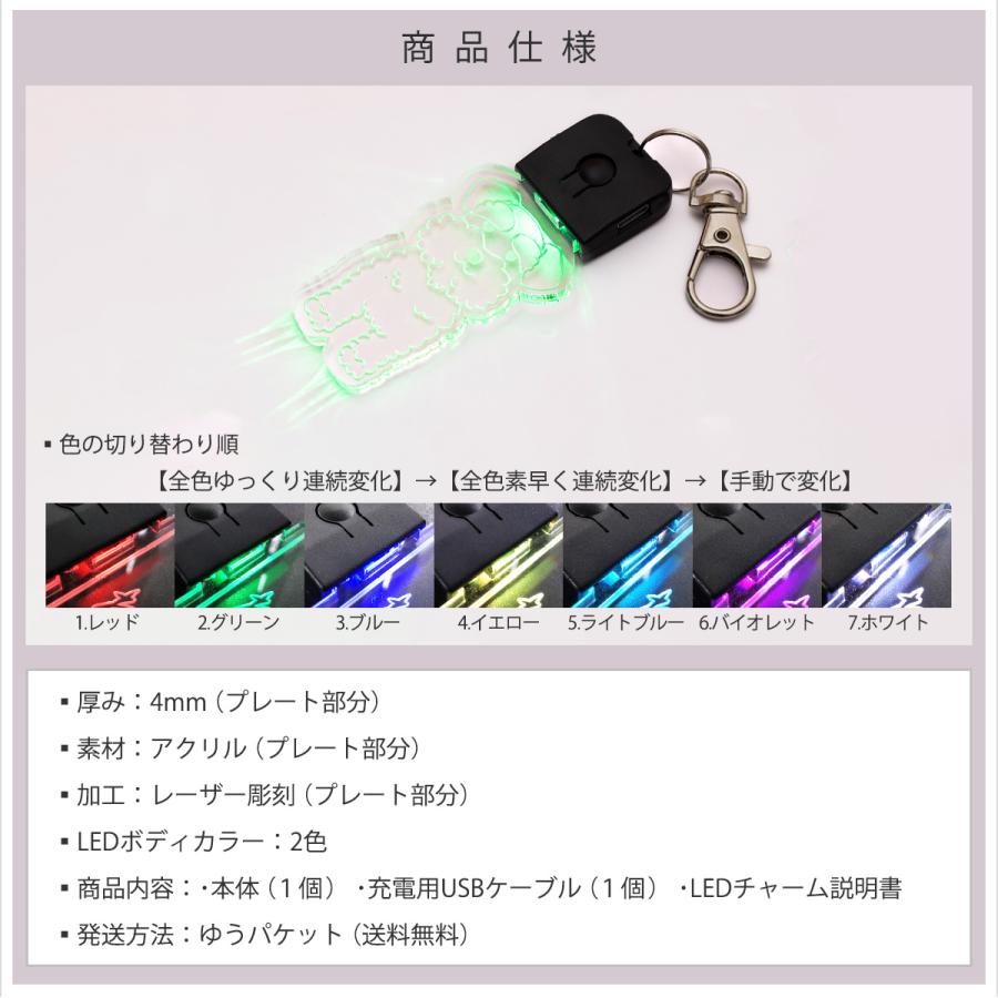 キーホルダー 光る LED ペット 犬 おしゃれ ライト お散歩 ネームプレート 名札 名入れ 刻印 ギフト プレゼント かばん リュック ...