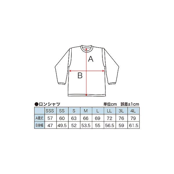 チームファイブ チームファイブ（Team Five） AL0308 WHT バスケットボール プレイグラウンド ロングスリーブ Tシャツ 23FW : アンドウスポーツ - 通販 ...