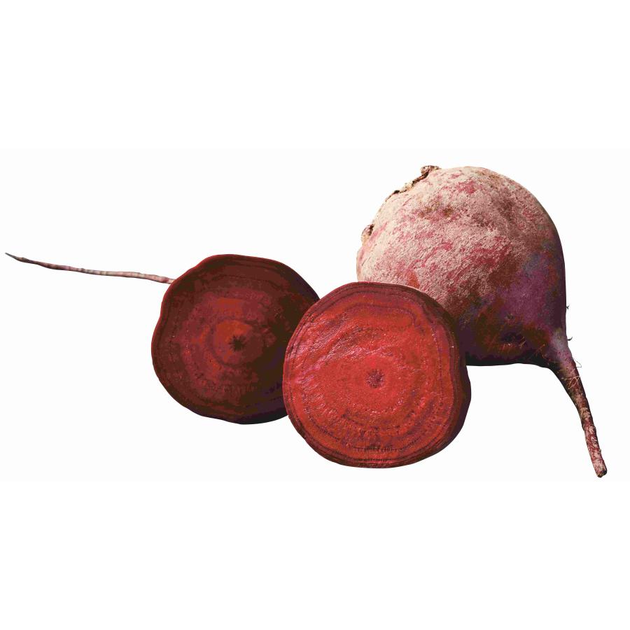 ビーツチップス 30g 熊本県あさぎり町産ビーツ からふる スナック : あさぎり農園 - 通販 - Yahoo!ショッピング