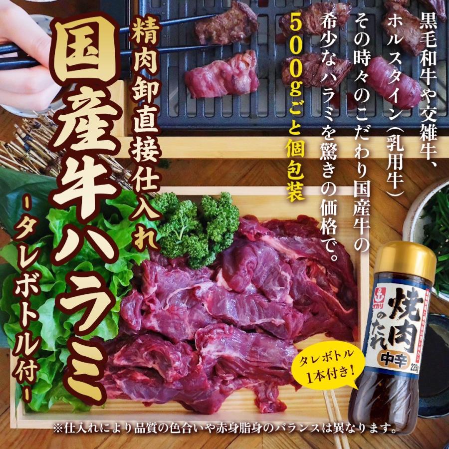 焼肉用 国産牛ハラミ 500g 焼肉のタレ ボトル付き セット 牛肉 赤身 冷凍 BBQ バーベキュー : 美容と健康フード 朝ごはんラボ ...