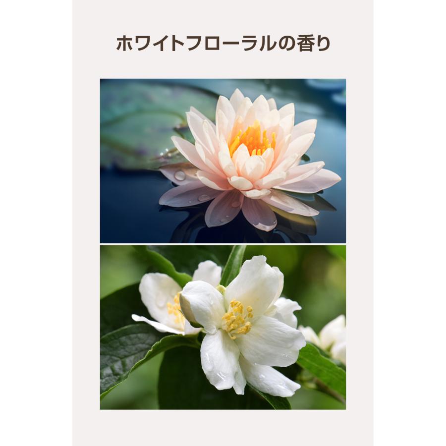 【定価3080円×2個セット】P＆G KIMEA(キメア) ヘアモイスチャーエマルジョン 50ml 流さないトリートメント ...