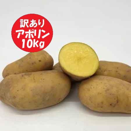 訳あり じゃがいも アポリン 北海道産 10kg Mから3Lサイズ 北海道 ジャガイモ 野菜 肉 じゃが に最適 : 北海道 ギフト 市場 - 通販 - Yahoo!ショッピング