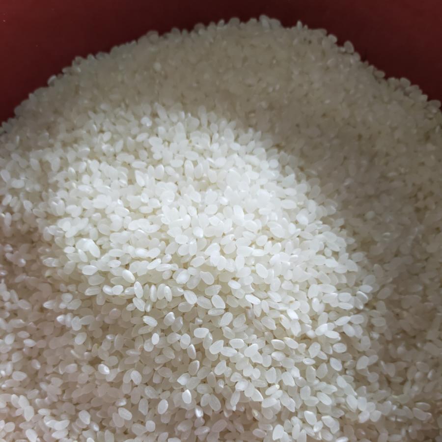 コシヒカリ 新米【 白米 】 20kg 特別栽培米 令和7年産 京都府産 農家直送 産地直送 こしひかり お米 20キロ 丹波産 精米 アサイファーム : 京丹波アサイファーム - 通販 ...