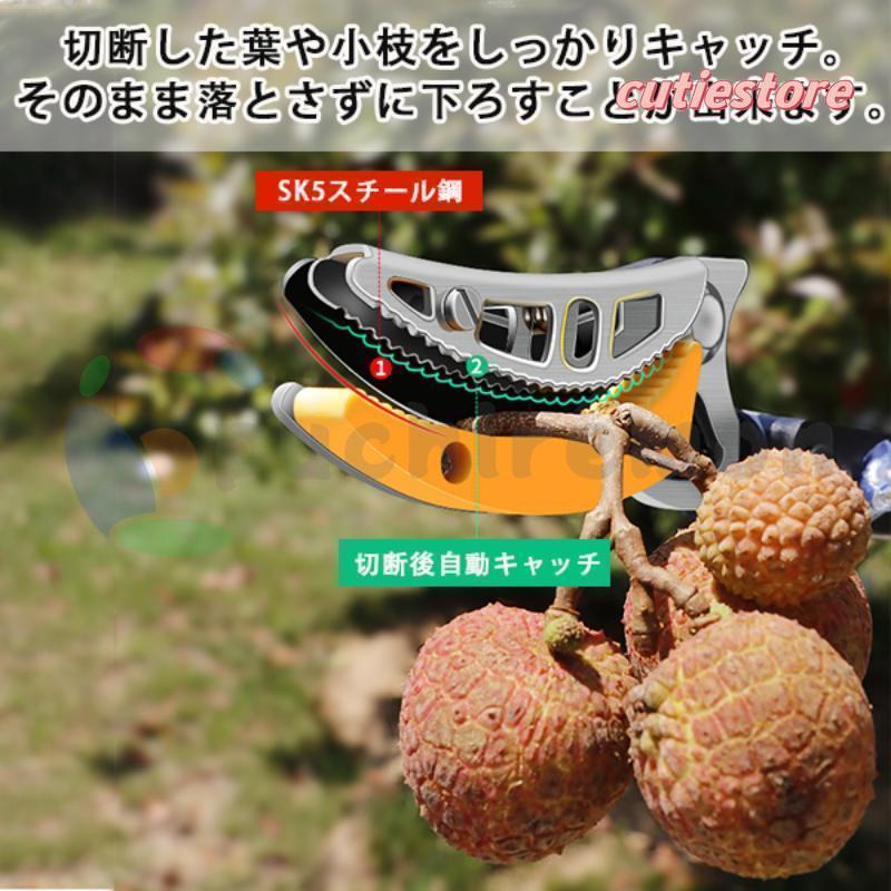 高枝切りバサミ 3m 4m 5m 伸縮式高枝切鋏 鋸付き 伸縮式 剪定鋏 高枝鋏 高枝用 SK5 高所 園芸用はさみ 太枝切鋏 枝切り 枝分け 高枝切り鋏 万能はさみ : ヘルスケアエイエスシ ...