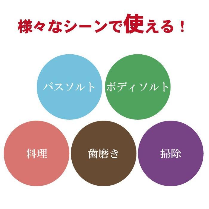 バリの天然塩 業務用バスソルト ミネラルたっぷり 3kg（1kgX3袋） : 自然派ストア Sakura - 通販 - Yahoo!ショッピング