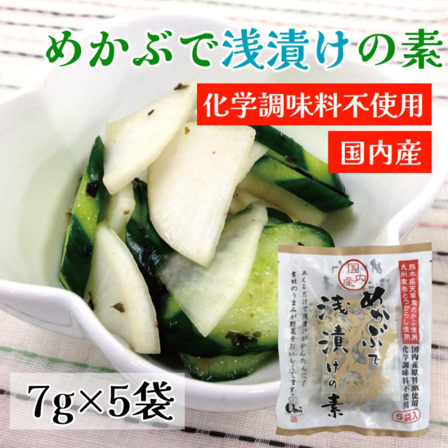 めかぶで浅漬けの素 7g×5袋 和えるだけ 簡単 調理 アレンジ 料理 サラダ おにぎり 調味塩 隠し味 人気 カルシウム ミネラル 食物繊維 漬物 : アシストフード - 通販 ...