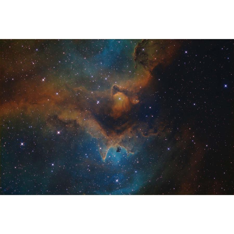 Optolong SHO 3nm フィルター 2" 用 M48 3枚セット BF2022特価 : 01050988010 : アストロストリート - 通販 - Yahoo!ショッピング