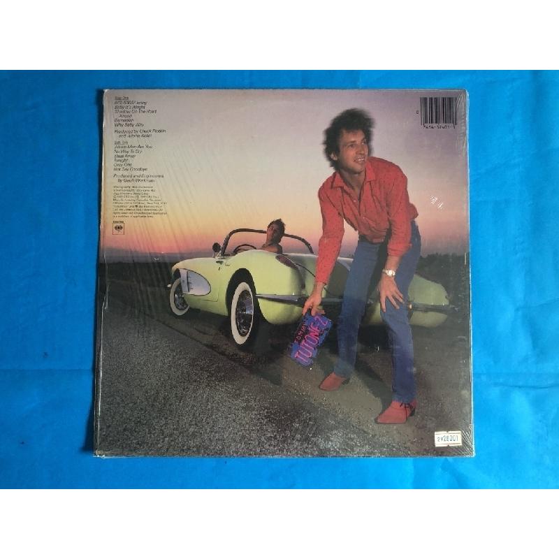 美盤 トミー・ツートーン Tommy Tutone 1981年 LPレコード トミー・ツートーン-2 Tutone-2 国内盤 Pop ...