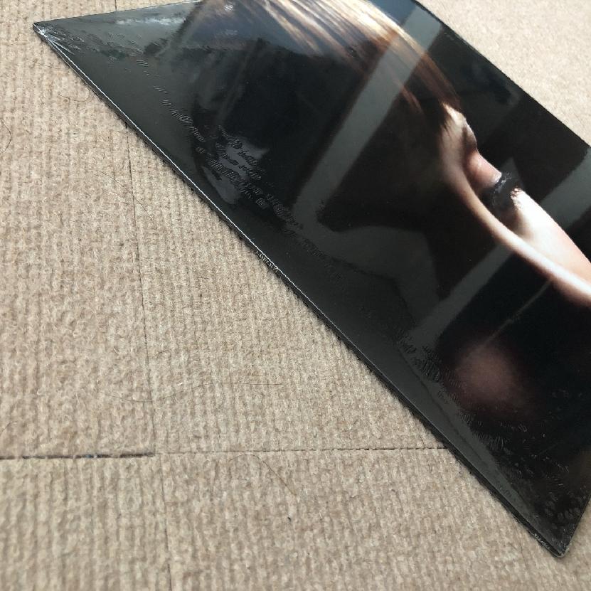 未開封新品 アデル Adele 2008年 LPレコード 19 欧州盤 Pop デビューアルバム Chasing Pavements : ASTROTUNES Yahoo!ショップ - 通販 ...