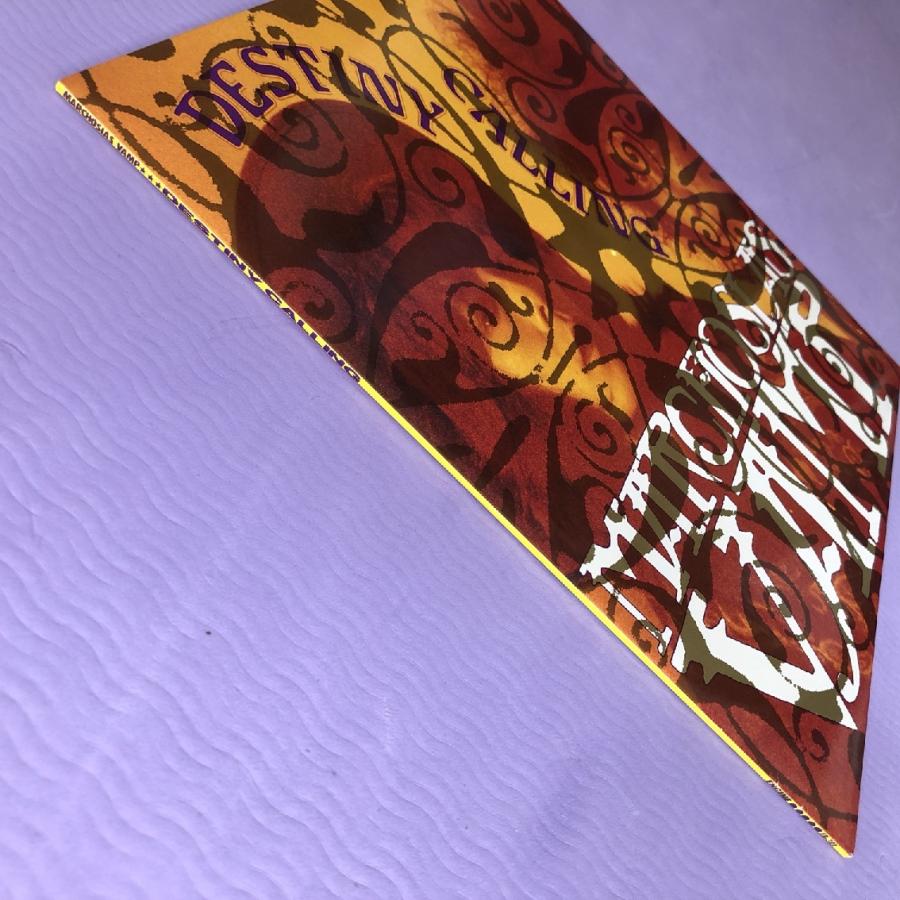 良盤 美ジャケ レア盤 マルコシアス・バンプ Marchosias Vamp 1988年 LPレコード Destiny Calling 国内盤 オリジナルリリース盤 J-Rock ...