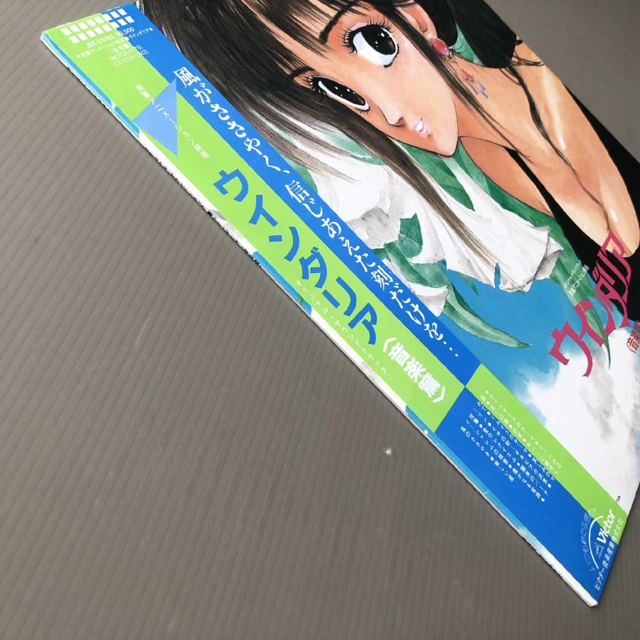 良盤 ウインダリア Windaria 1986年 LPレコード 音楽篇 オリジナルリリース盤 帯付 Anime Manga 新居昭乃 加藤和彦 ...