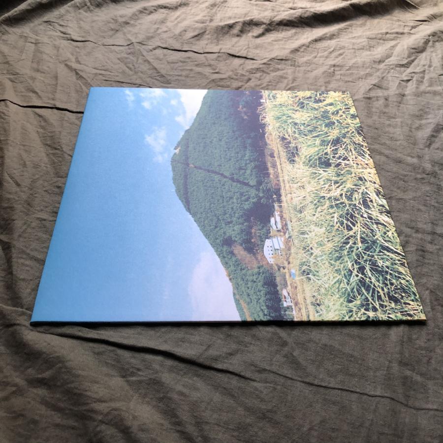 美盤 美ジャケ 美品 1998年 オリジナルリリース盤 奥田民生 Tamio Okuda LPレコード 股旅 Matatabi J-Rock ...