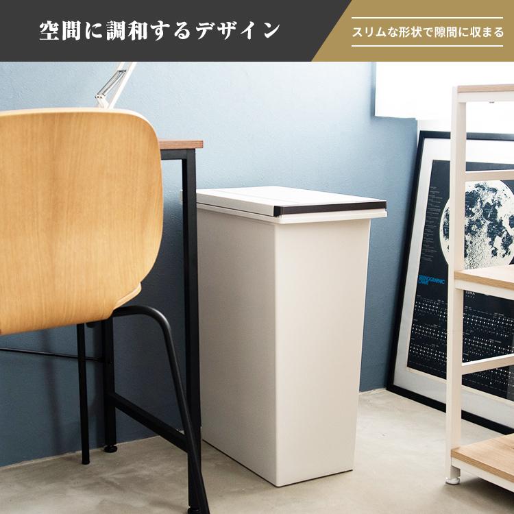 ゴミ箱 おしゃれ キッチン 臭わない 密閉 プッシュ スリム 45リットル 2個 セット アスベル エバン ASVEL EBAN 分別 45l 45L 大容量 蓋付き 資源ゴミ ごみ箱 ...