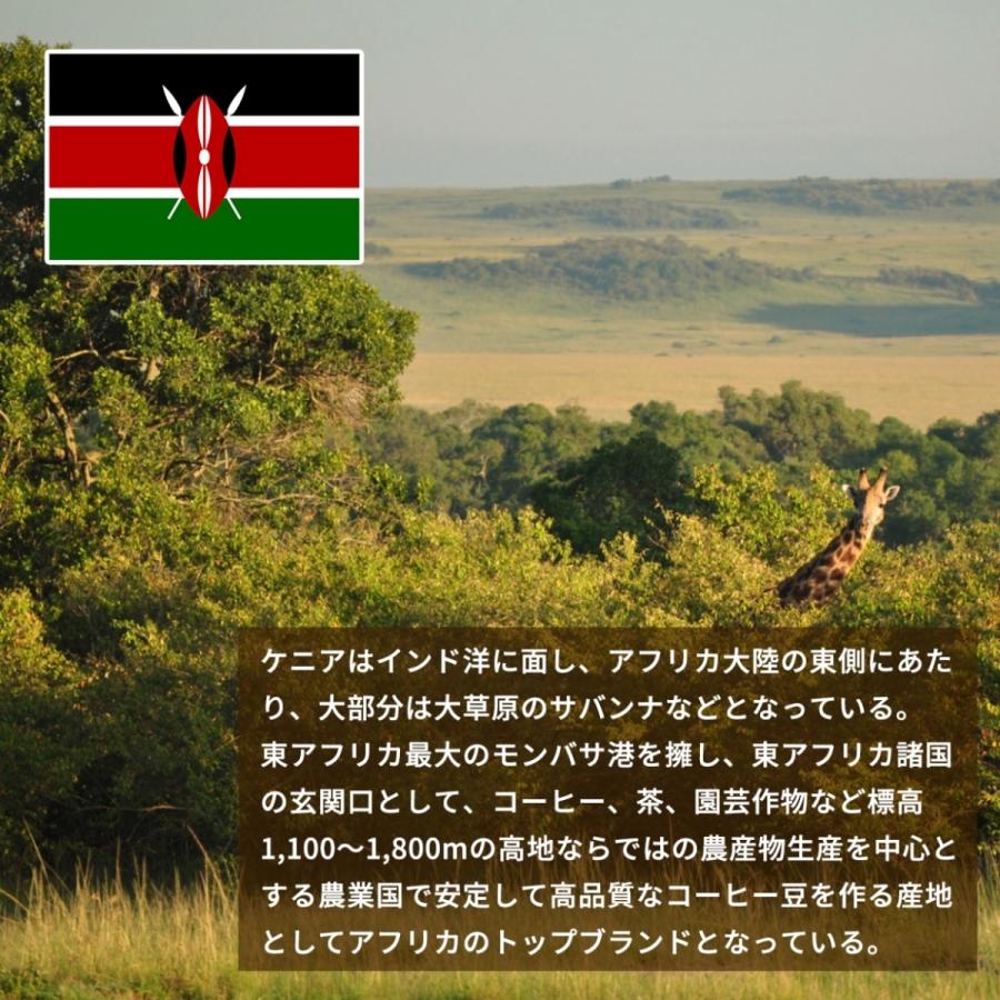 コーヒー生豆 ケニア AA Qグレード スペシャリティコーヒー 送料無料 : あたごコーヒー - 通販 - Yahoo!ショッピング