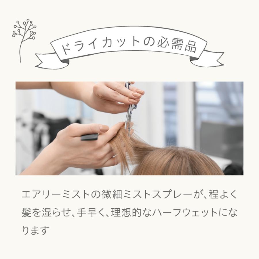 AIVIL アイビル エアリーミスト ミニミニ 100mL容器 ホワイト AM-24K01 蓄圧式 連続噴射 微細噴霧 ストッパー付き サロン用 業務用 : あっと美人 - 通販 ...