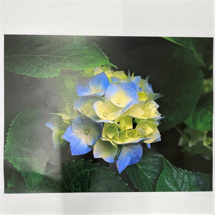 リコー MP C1803 SPF A3カラー複合機 使用枚数10181枚 2017年製 カラー コピー機 中古 :B-c1803spf-220830:アットランド・ヤフーショップ - 通販 ...