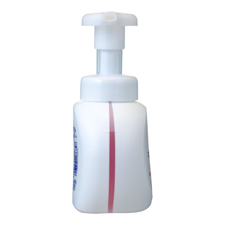 LION（ライオン） キレイキレイ 薬用泡ハンドソープ シトラスフルーティの香り 250ml（4903301176848） : 日用品・生活 ...