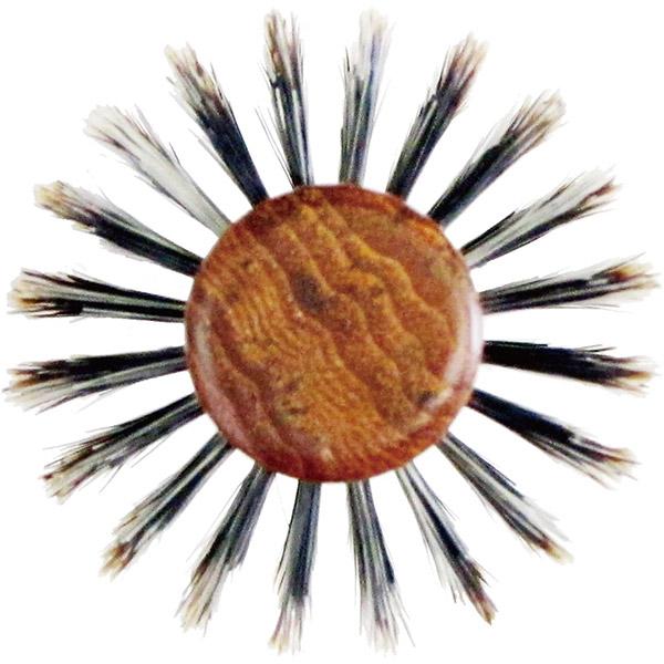 サンビー ロールブラシ SR-402 やわらかい豚毛【SANBI ブラシ ブラッシング ヘアブラシ スタイリング ヘアアレンジ 豚毛】 : アトム屋美容本舗 - 通販 - Yahoo!ショッピング