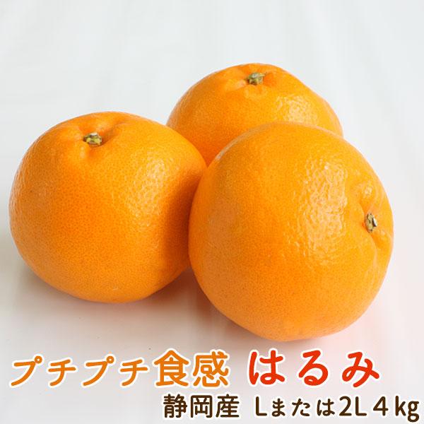 「はるみ」静岡県産 Lまたは2Lサイズ 4kg 柑橘 みかん 蜜柑 ミカン 贈答品 ギフト お取り寄せグルメ : あったあった - 通販 - Yahoo!ショッピング