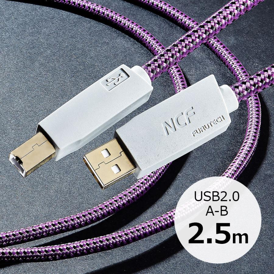 FURUTECH - GT2 NCF USB-B-2.5M（1本）（USB2.0・A-B・2.5m）USBケーブル【メーカー直送品（代引不可）・納期は確認後ご連絡】 : オーディオ逸品館 ...