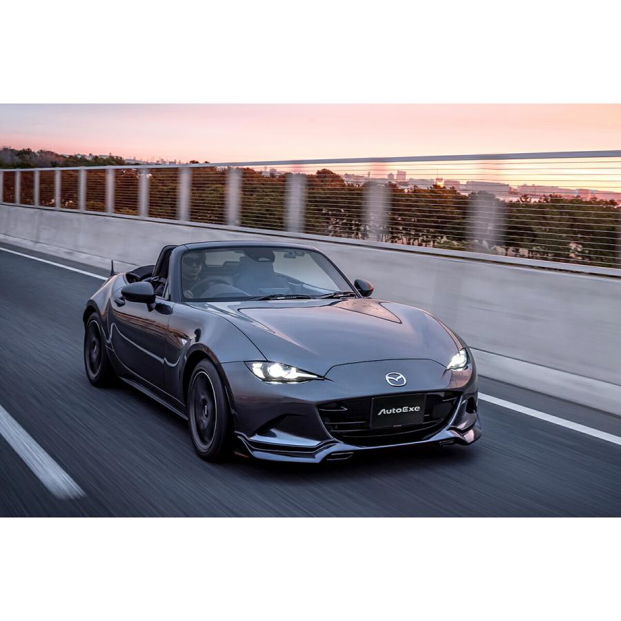 オートエクゼ AutoExe ND-07 フロントアンダースポイラー ロードスター ND5RC ND5RE ※個人宅配送不可 : オートクラフト - 通販 - Yahoo!ショッピング