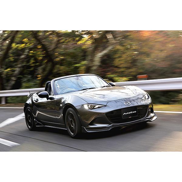 オートエクゼ AutoExe ND-07S サイドストレーキ ロードスターRF NDERE NDERC : オートクラフト - 通販 - Yahoo!ショッピング