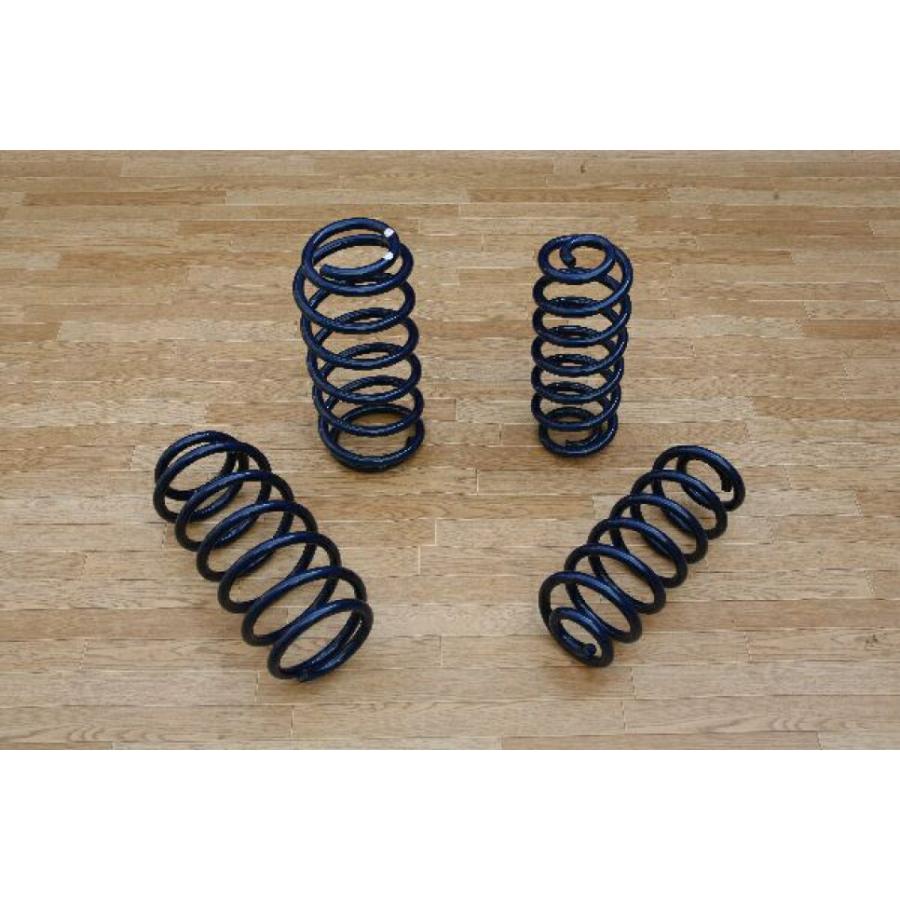 MOTORAGE モトレージ TERRAコイルスプリング NISSAN エクストレイル DNT31 ディーゼル車 AT車 : オートクラフト - 通販 - Yahoo!ショッピング