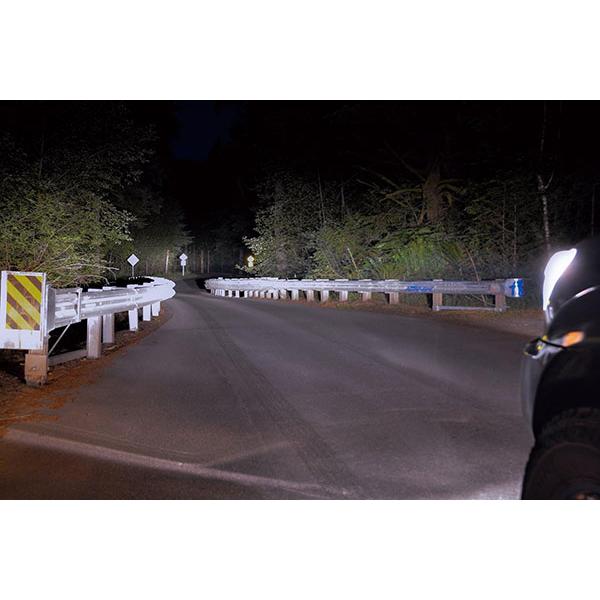 PIAA HW406 ヘッドライト用 アストラルホワイト ハロゲンバルブ H7 4800K 蒼白色 プジョー 2008 A94系 H26.2〜R2.8 純正H7/PSX24W : オート ...