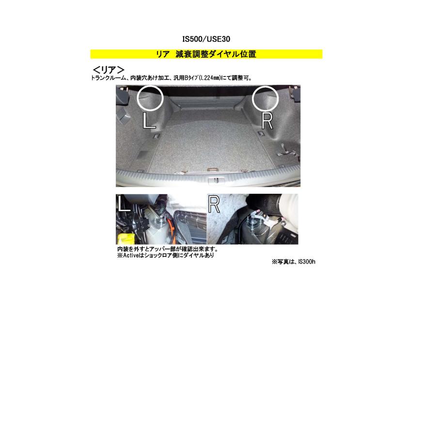 RSR Super☆i リア用 フレキシブルアジャスター レクサス IS500 USE30 R4/8〜 FR 5000 NA FA224S :rsr-fa-5744:オートクラフト - 通販 ...