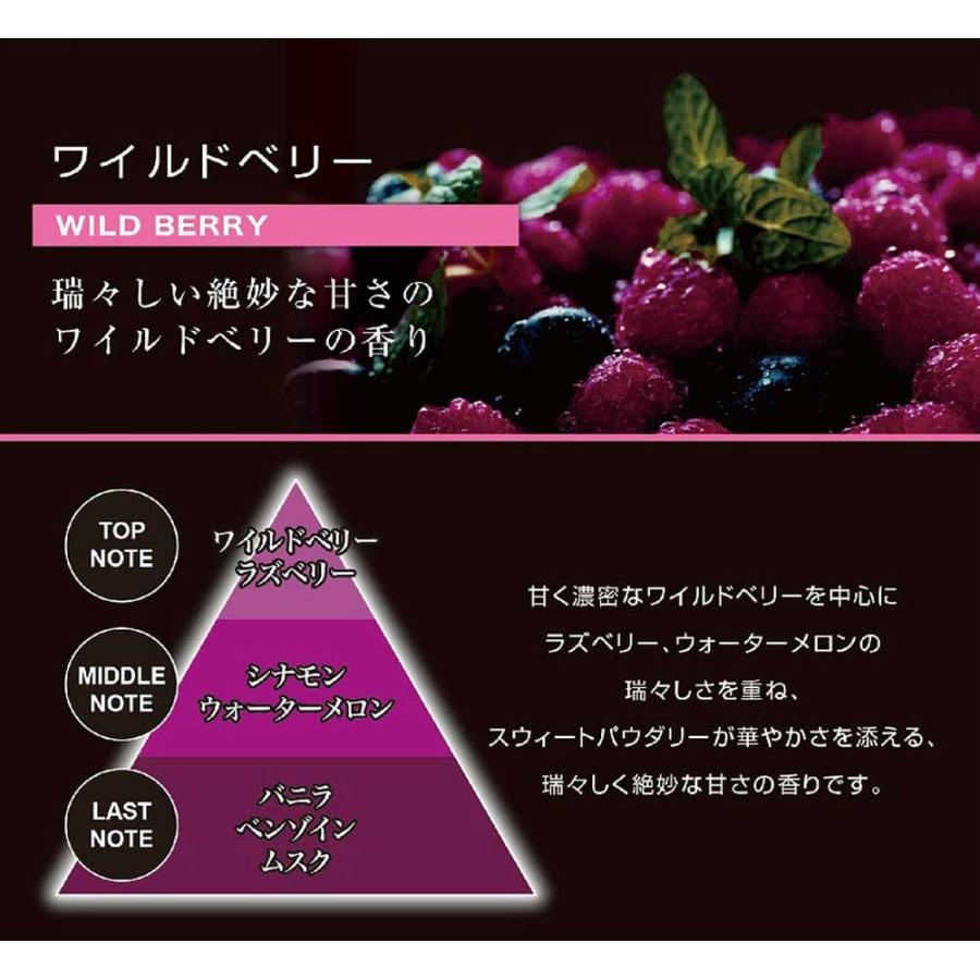 CARMATE ブラング エア ミニスティック2P H1146 ワイルドベリー : 4973007309659 : オートバックスYahoo ...