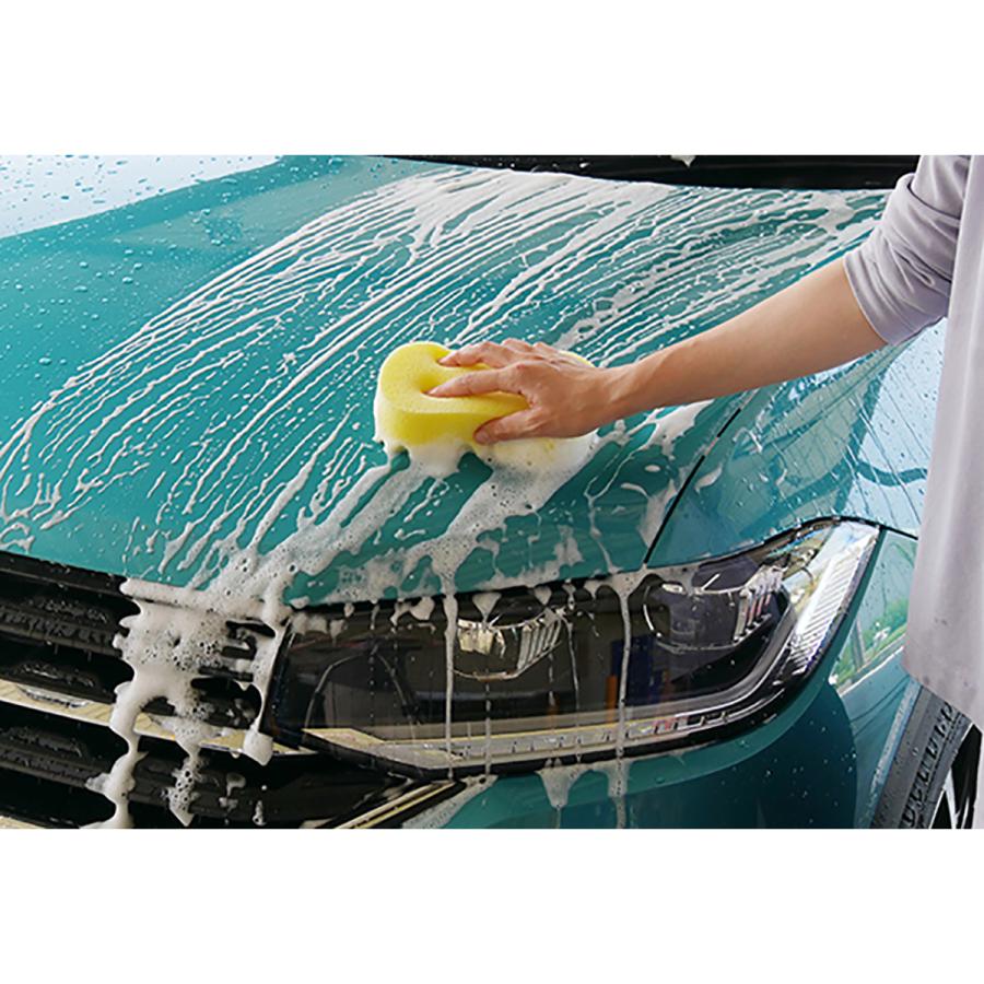 ソフト99 SOFT99 ALAUNEN バチバチアップ ウォッシュ＆コート 700ml : オートバックスYahoo!ショッピング店 - 通販 - Yahoo!ショッピング