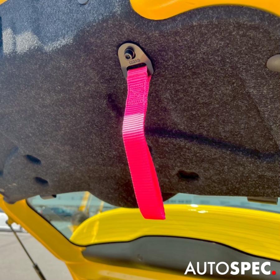 アバルト（ABARTH） AutoStyle テールゲートストラップ FIAT ABARTH 500 595 695 ピンク リアゲートストラップ : AUTOSPEC.y-store ...