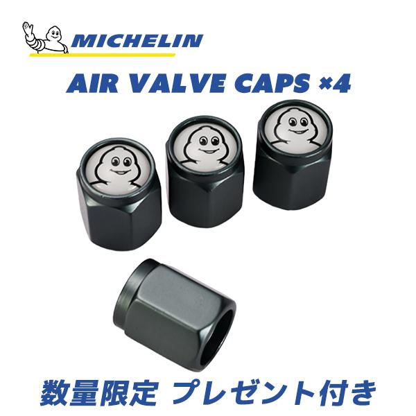 MICHELIN 正規品 スノーソックス SOSグリップ6 トヨタ プリウスPHVS GRスポーツ / ZVW52 タイヤサイズ: 225/40R18 18インチ用 : AutoWear ...